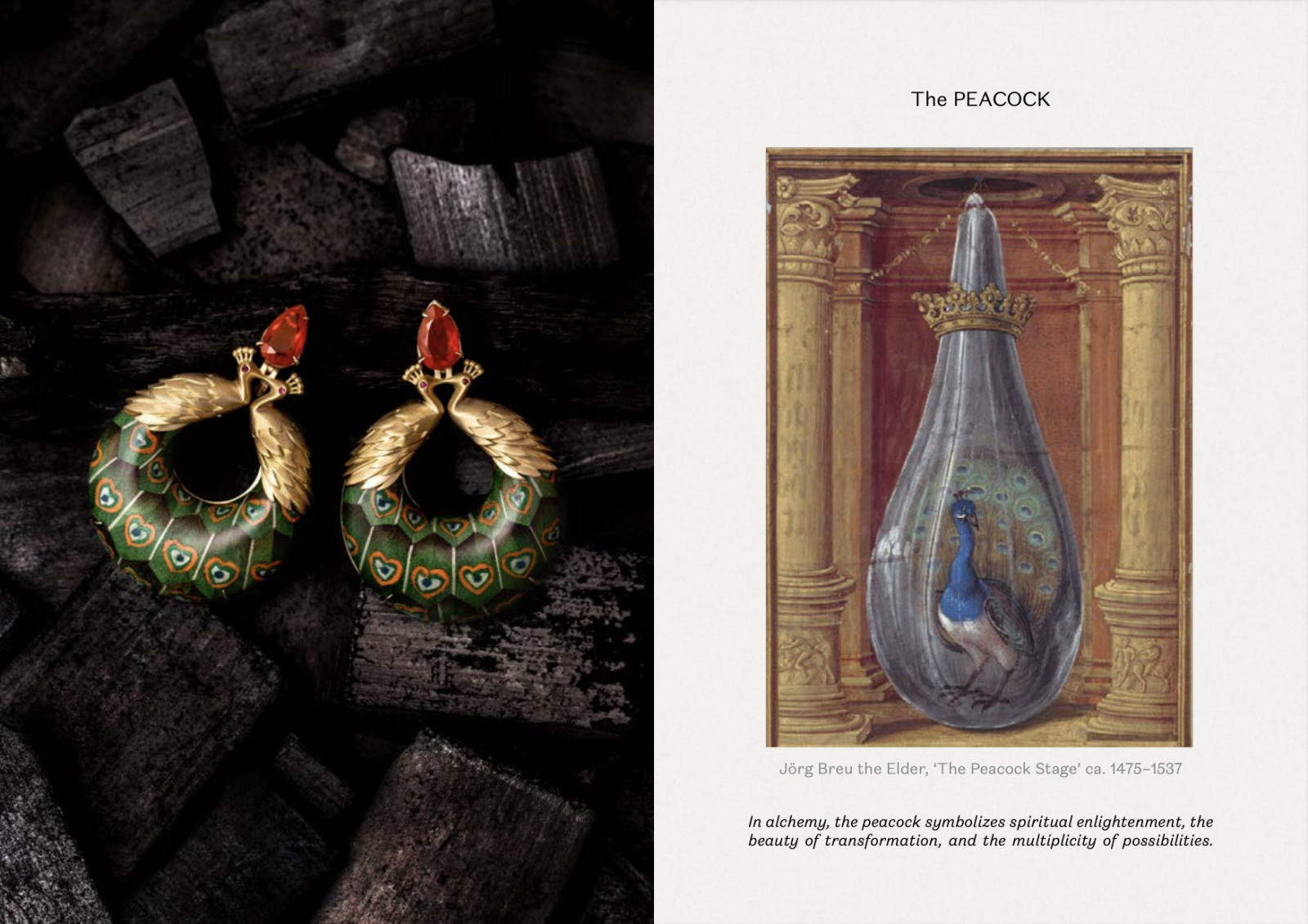 The Story → Silvia Furmanovich