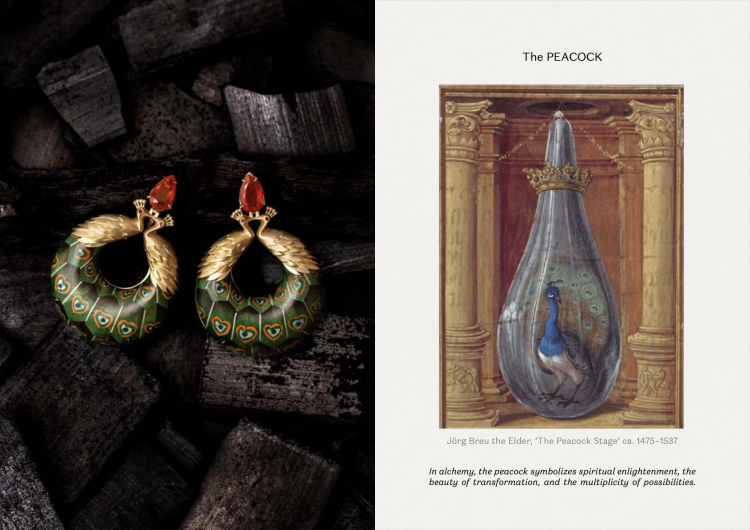 The Story → Silvia Furmanovich